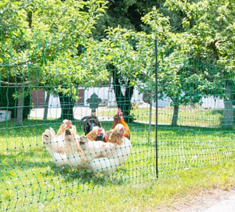 Poultry Netting - FarmFencing.ca