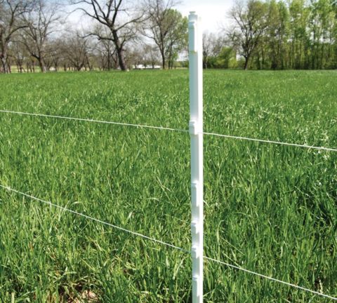 Sentinel Heavy Duty Tread-In 50Pk - FarmFencing.ca